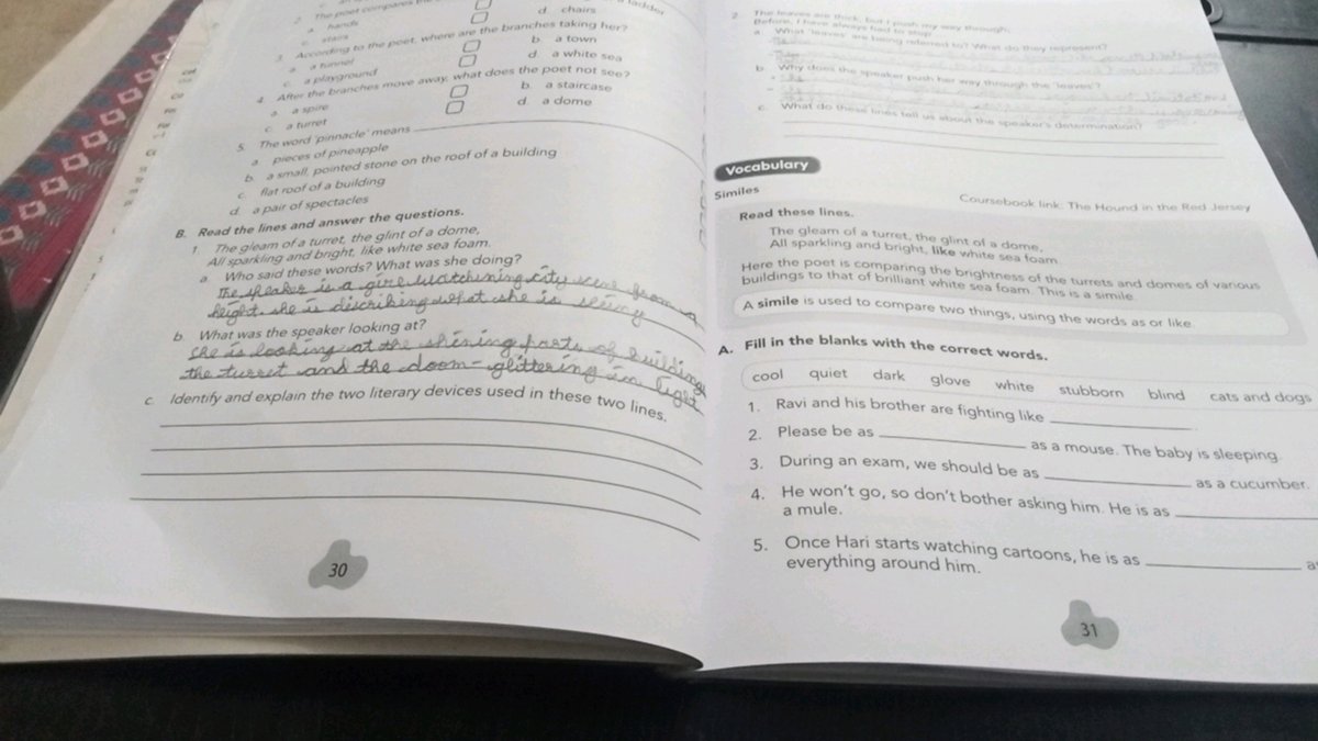 B. Read the lines and answer the questions. The gleam of a turret, the gl..
