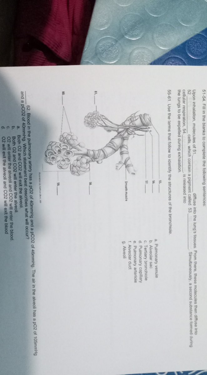51-54. Fill in the blanks to complete the following sentences: Upon inha..