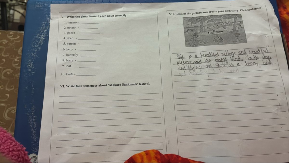 V. Write the plural form of each noun correctly. tomato - potato - goose