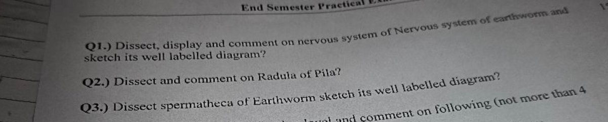 Q1.) Dissect, display and comment on the nervous system of earthworm and