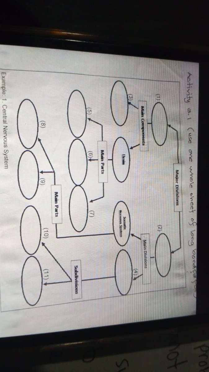 Activity 3.1 Complete the diagram by filling in the blanks (1) through