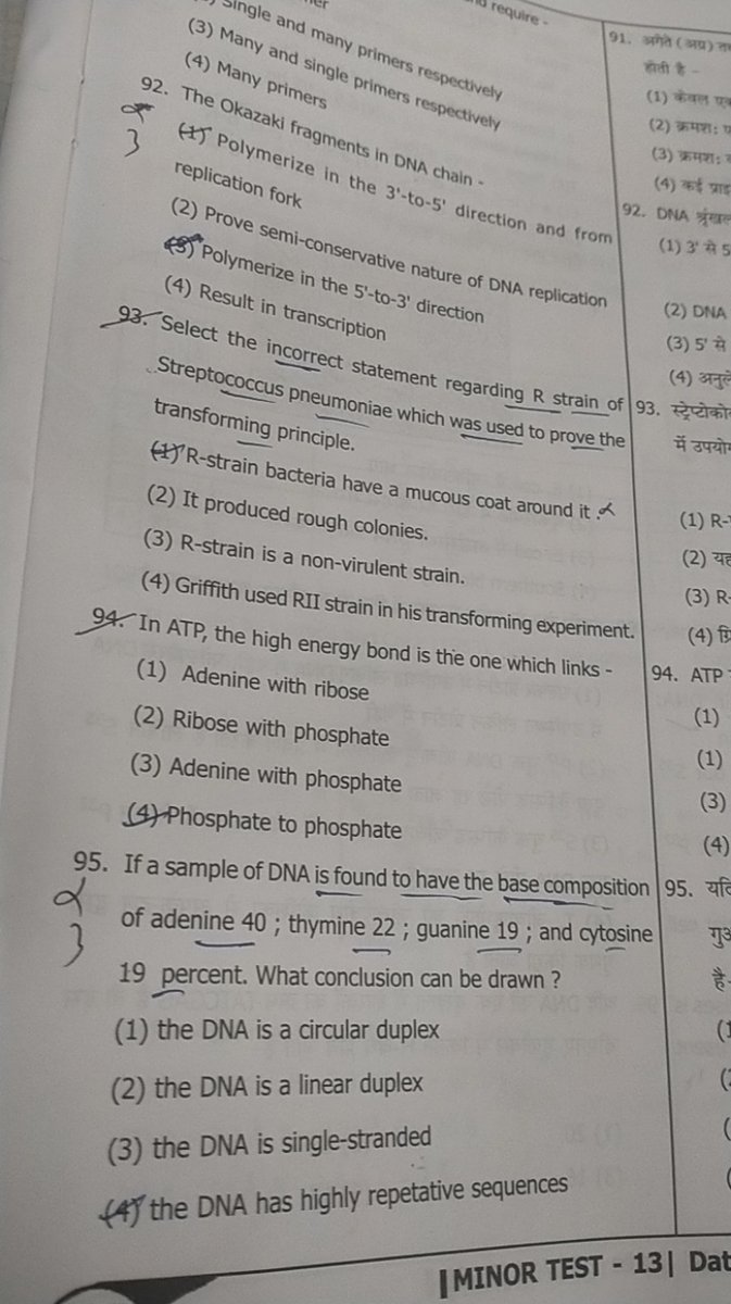 The Okazaki fragments in DNA chain - (1) Polymerize in the 3'-to-5' direc..