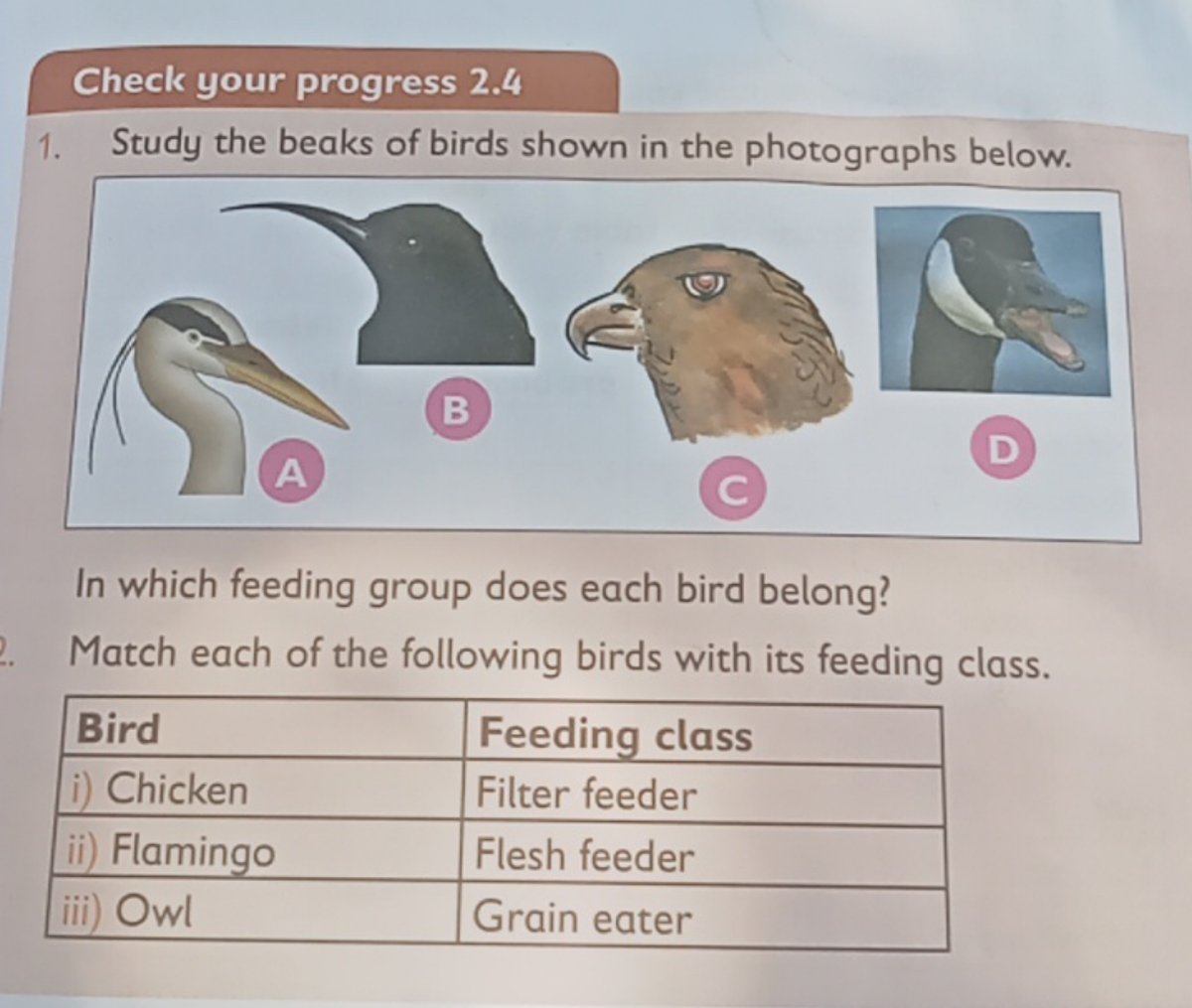 Check your progress 2.4 Study the beaks of birds shown in the photograph..