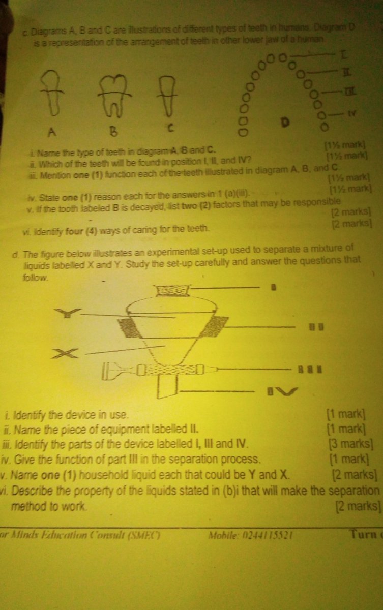 c. Diagrams A, B and C are illustrations of different types of teeth in h..