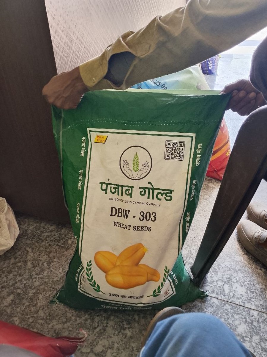 The image shows a bag of "Punjab Gold DBW-303 Wheat Seeds". What does "DB..