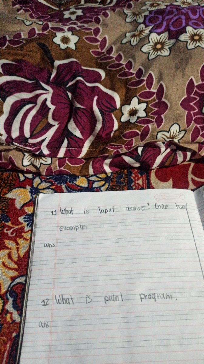 What are Input devices? Give two examples. What is a paint program? | Filo