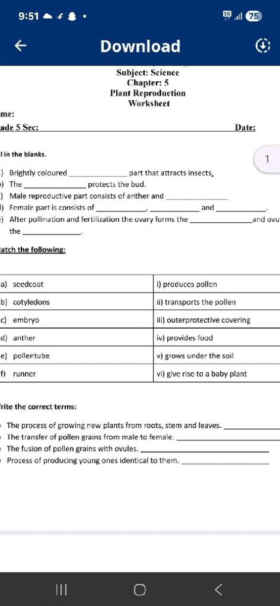 Subject: Science Chapter: 5 Plant Reproduction Worksheet Fill in the bla..