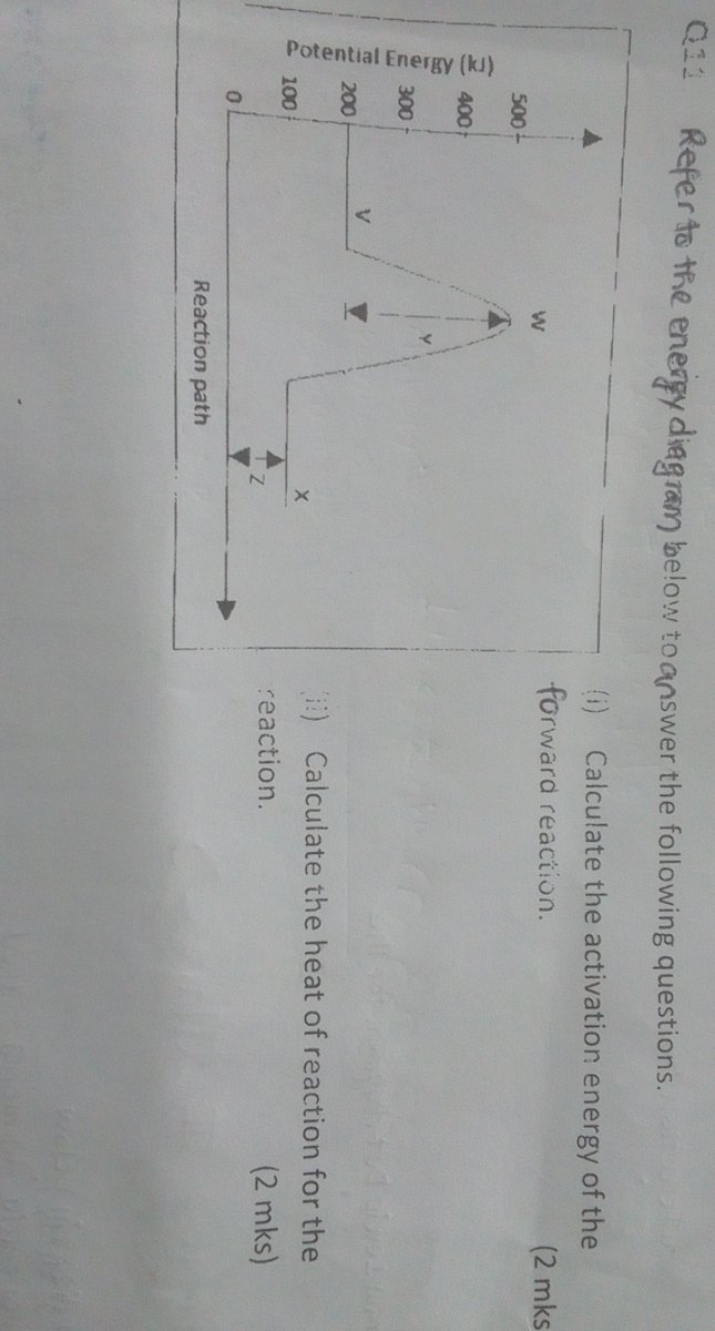 Q11 Refer to the energy diagram below to answer the following questions.