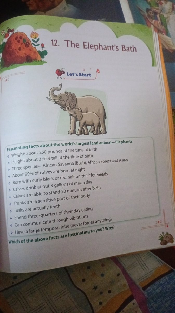 Fascinating facts about the world's largest land animal—Elephants Weight:..