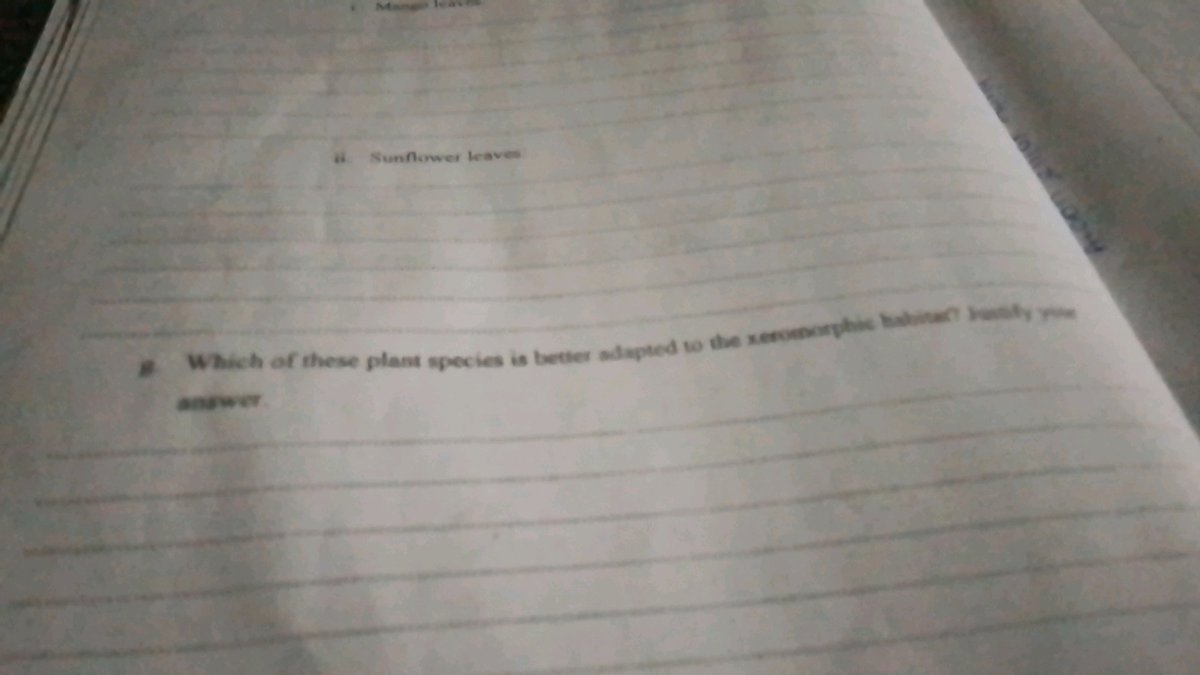 Which of these plant species is better adapted to the xeromorphic habitat..