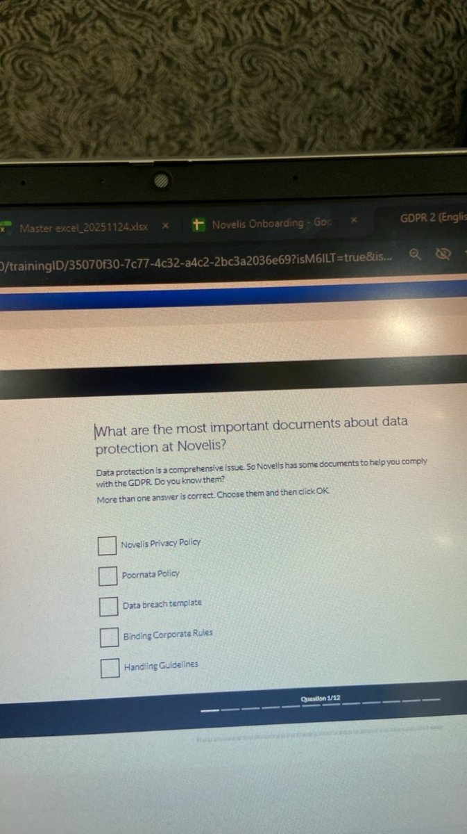 What are the most important documents about data protection at Novelis?