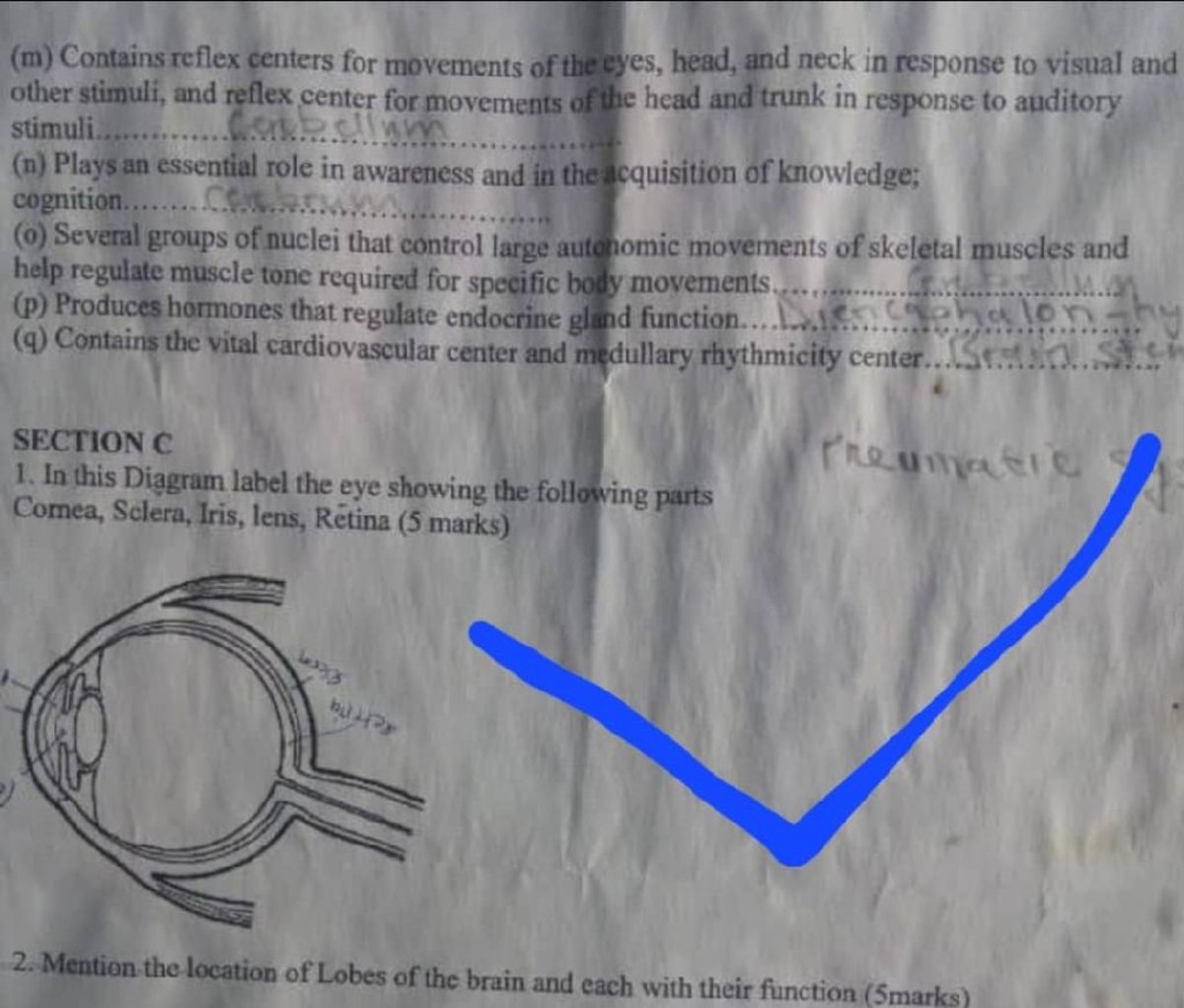 SECTION C In this Diagram label the eye showing the following parts: C..