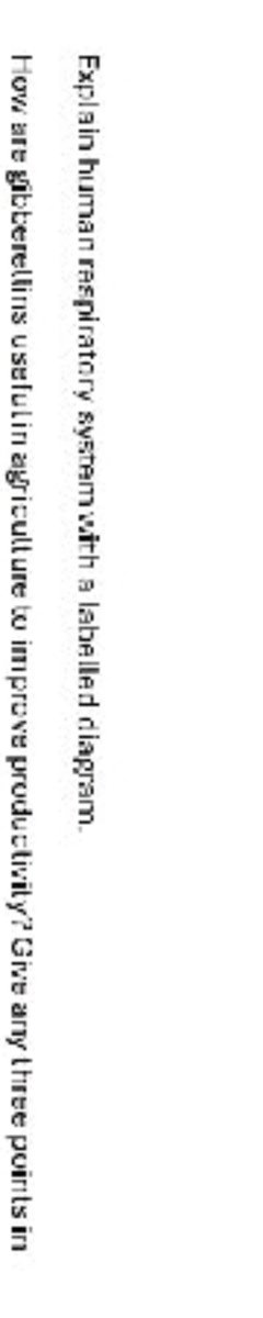 Explain the human respiratory system with a labelled diagram. How are gib..