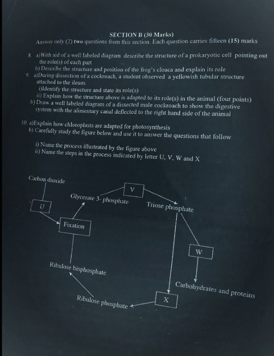 SECTION B (30 Marks) Answer only (2) two questions from this section. Eac..
