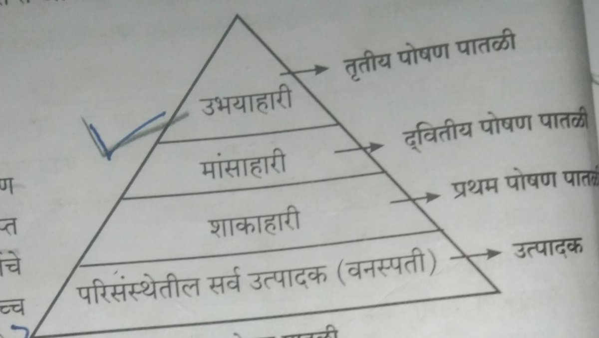 The image shows an ecological pyramid with different trophic levels. Base..