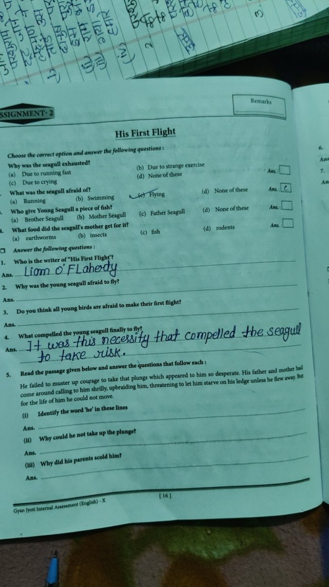 Here are some questions based on the story "His First Flight": Choose th..