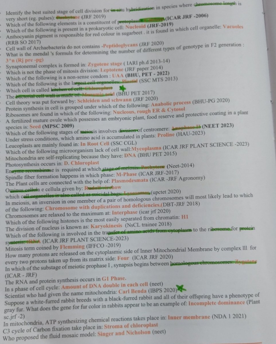 Identify the best suited stage of cell division for in-situ hybridization..
