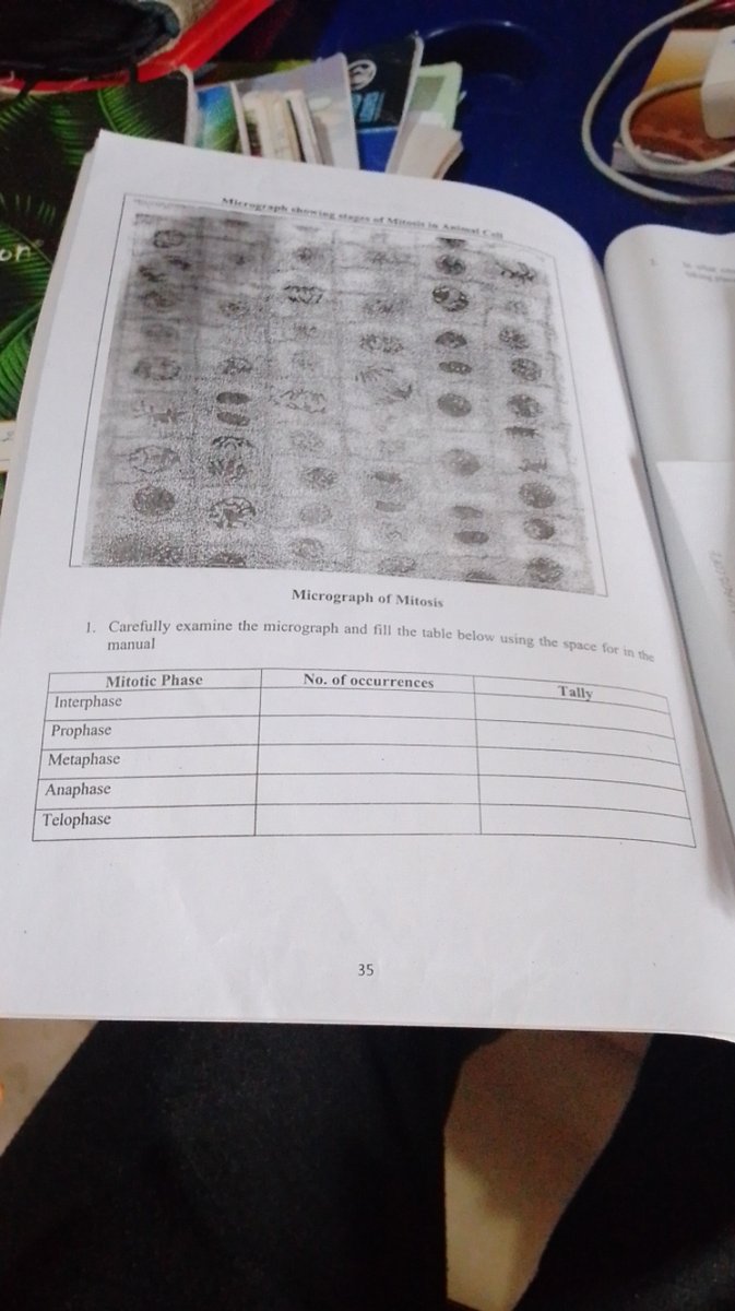 Micrograph of Mitosis Carefully examine the micrograph and fill the tabl..
