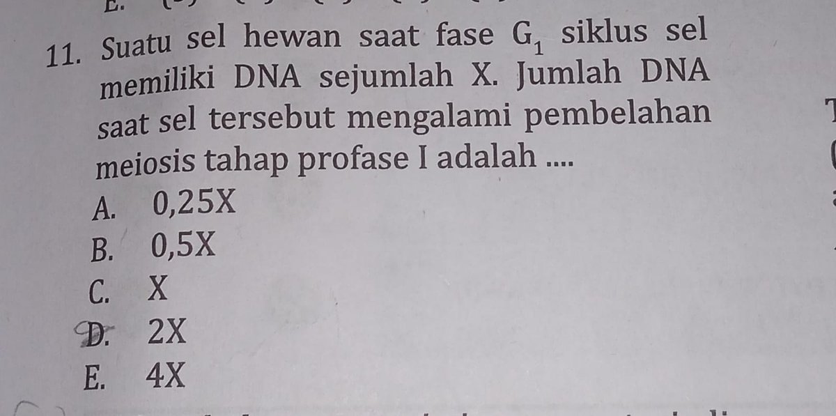 Suatu sel hewan saat fase G1 siklus sel memiliki DNA sejumlah X. Jumlah D..