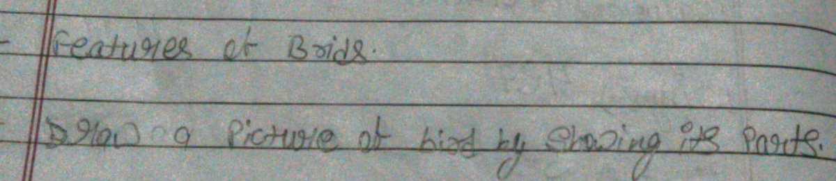 Features of Birds. Draw a picture of a bird by showing its parts. | Filo