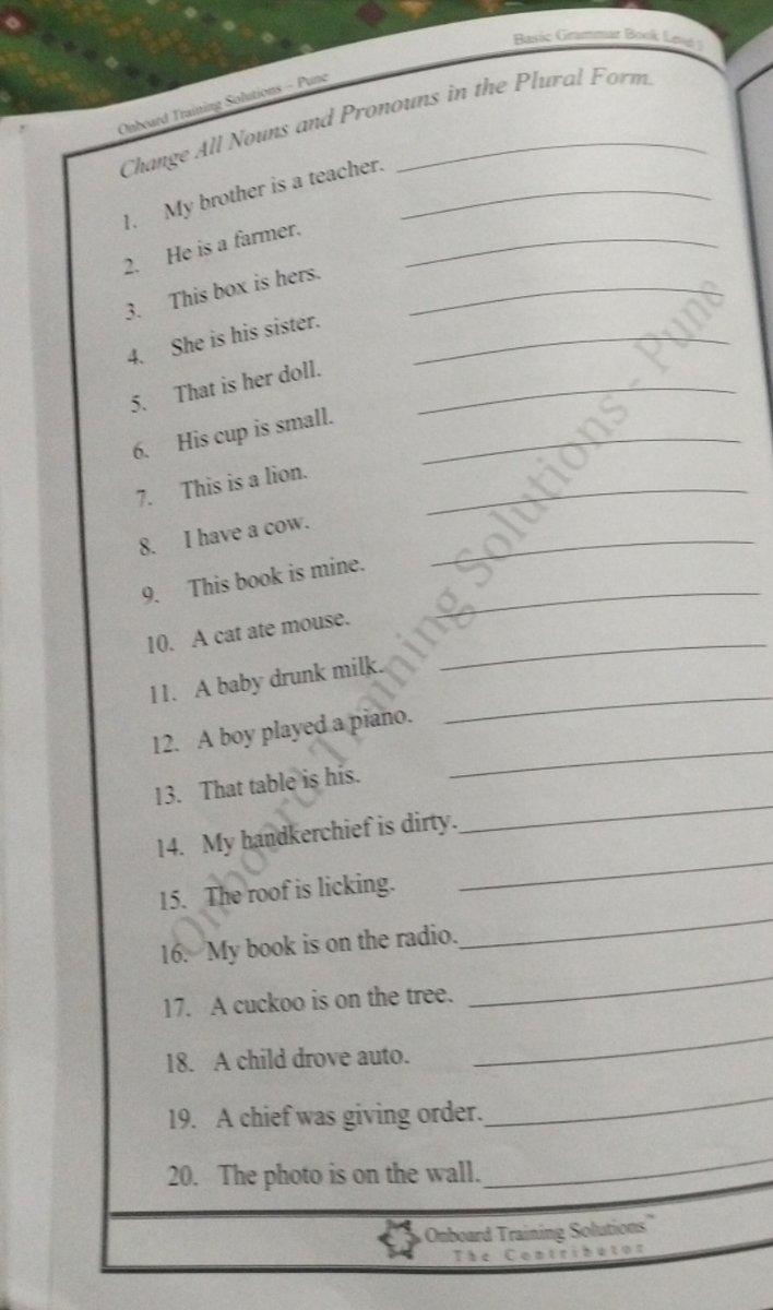 Change All Nouns and Pronouns in the Plural Form. My brother is a teache..