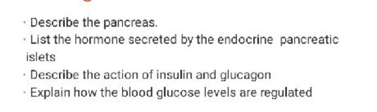 Describe the pancreas. List the hormones secreted by the endocrine pancre..