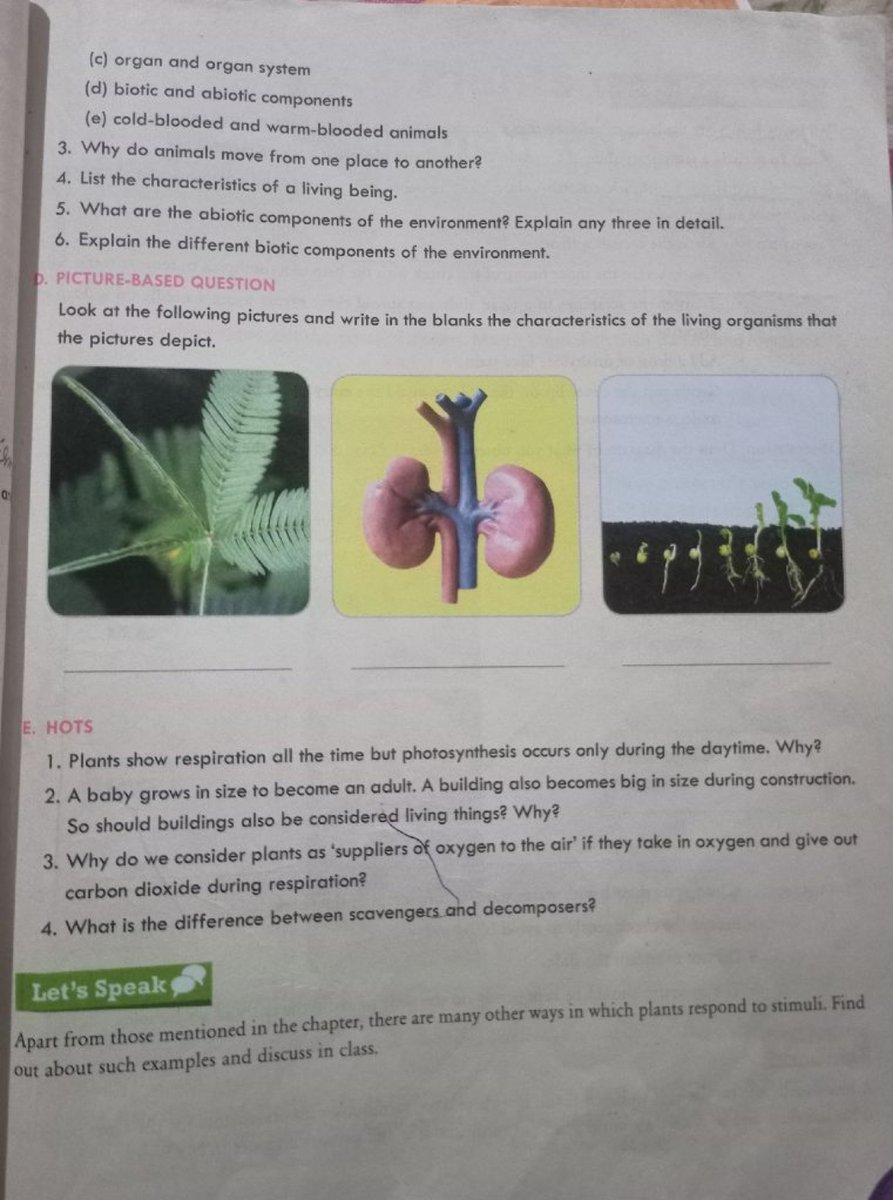 D. PICTURE-BASED QUESTION Look at the following pictures and write in the..