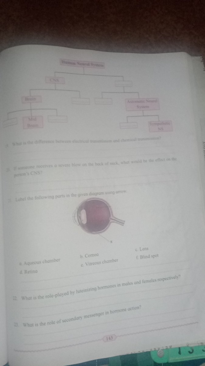Here are multiple questions: What is the difference between electrical t..