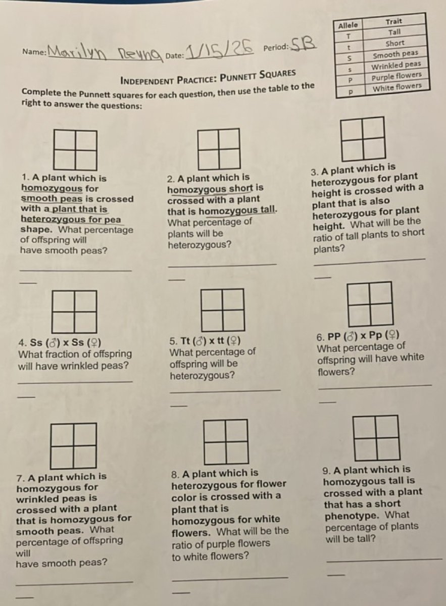 INDEPENDENT PRACTICE: PUNNETT SQUARES Complete the Punnett squares for e..