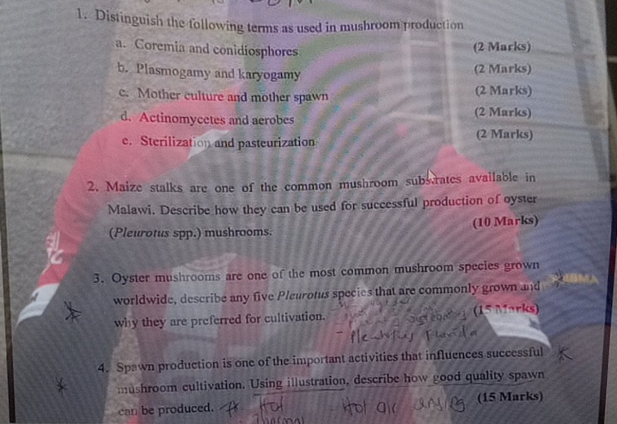 Distinguish the following terms as used in mushroom production (2 Marks e..