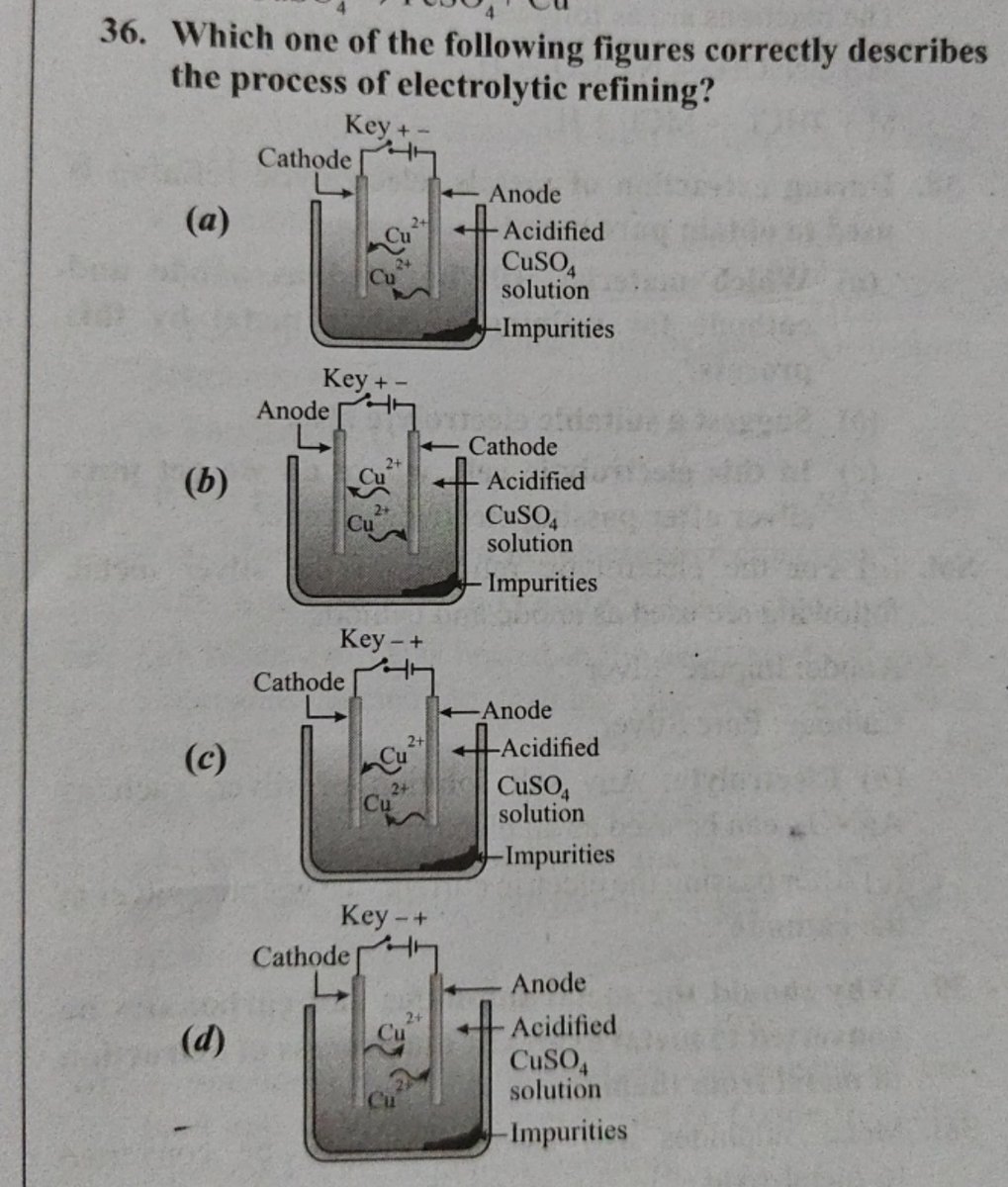 Which one of the following figures correctly describes the process of ele..