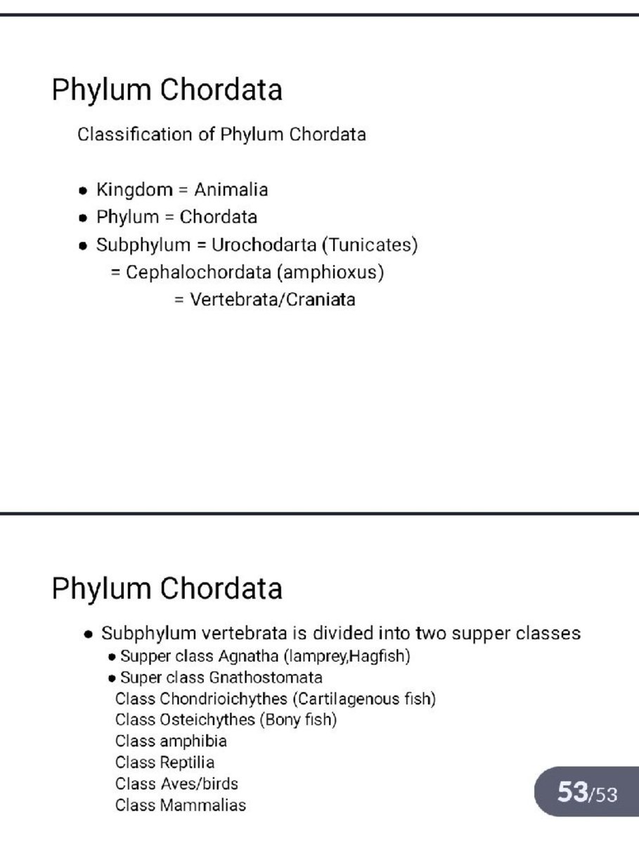 Phylum Chordata Classification of Phylum Chordata Kingdom = Animalia Ph..