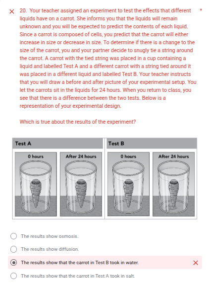 Your teacher assigned an experiment to test the effects that different li..