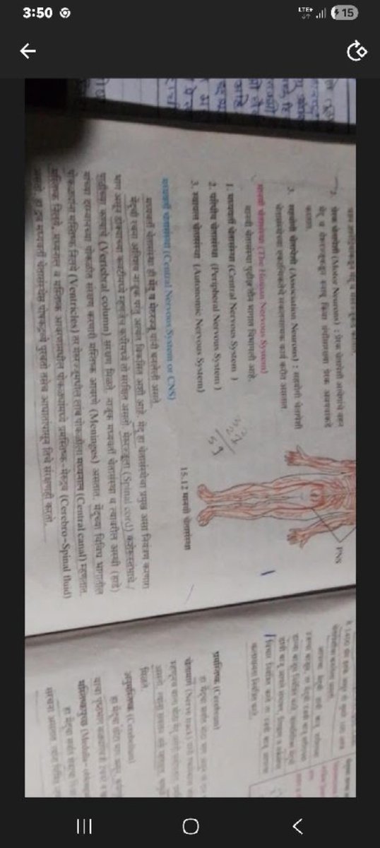 The provided text describes the human nervous system. Based on the text,