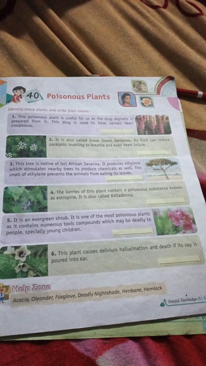 Identify these plants and write their names: This poisonous plant is use..