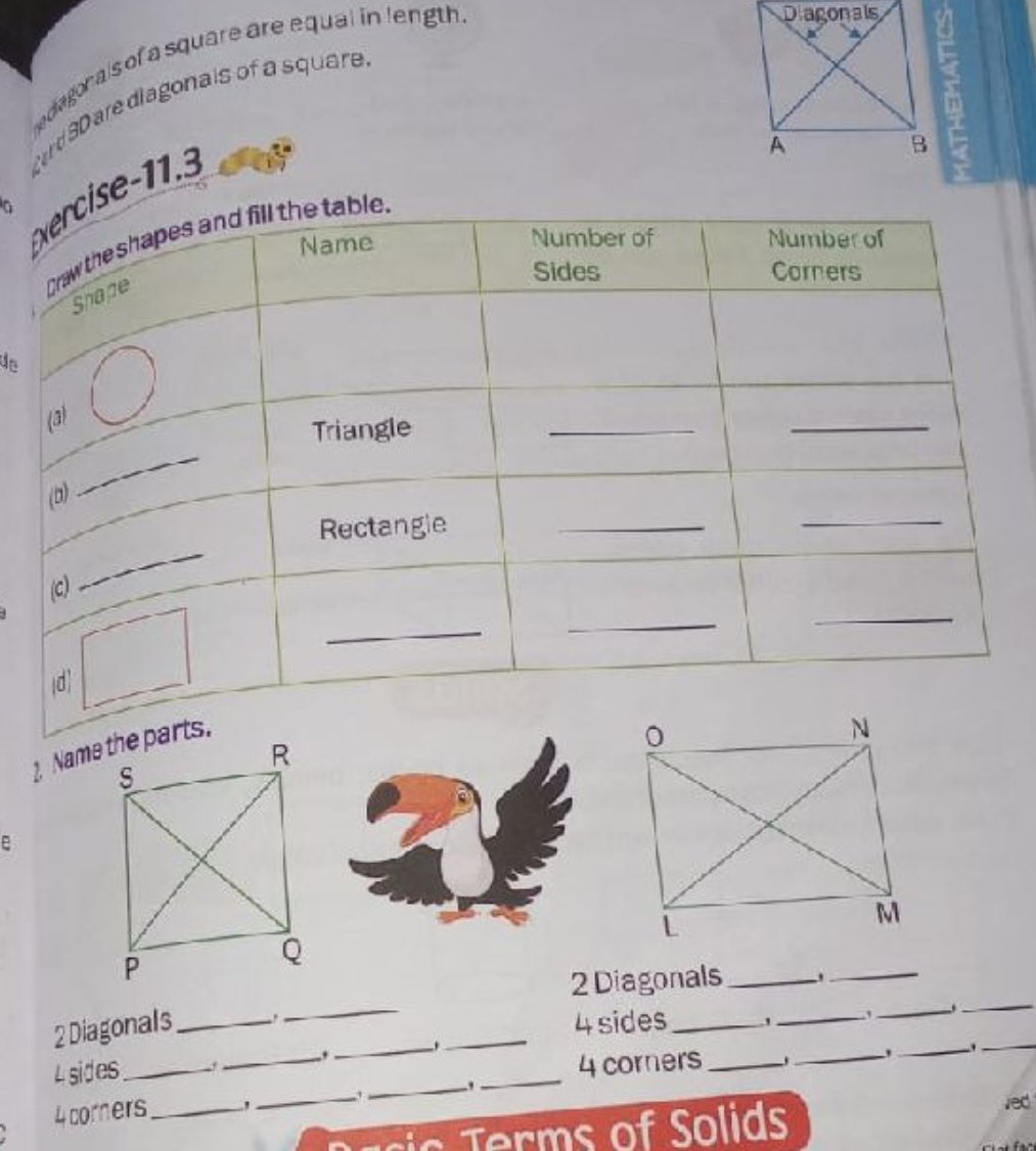 Exercise-11.3 Draw the shapes and fill the table. | Shape | Name | Numb..