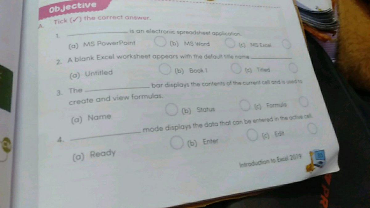 Tick ( ) the correct answer. __ is an electronic spreadsheet application..