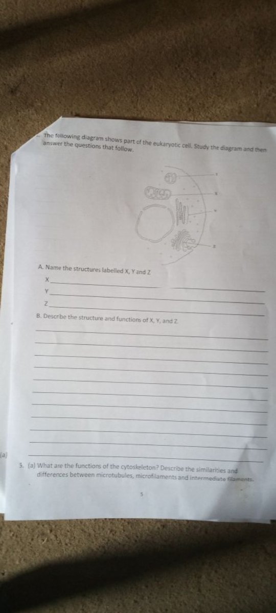 The following diagram shows part of the eukaryotic cell. Study the diagra..