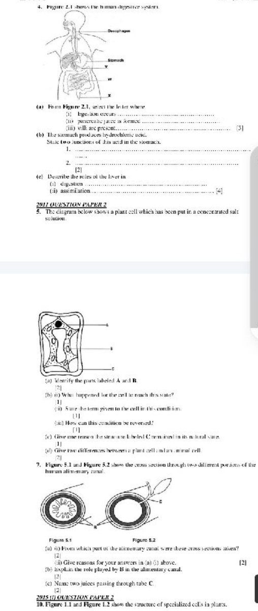 Figure 2.1 shows the human digestive system. (a) From Figure 2.1, select..