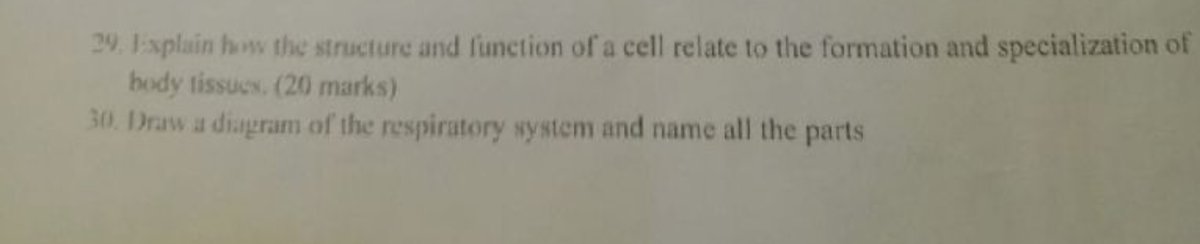 Explain how the structure and function of a cell relate to the formation
