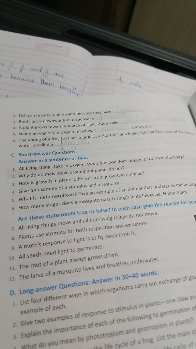 C. Short-answer Questions: Answer in a sentence or two. All living things..