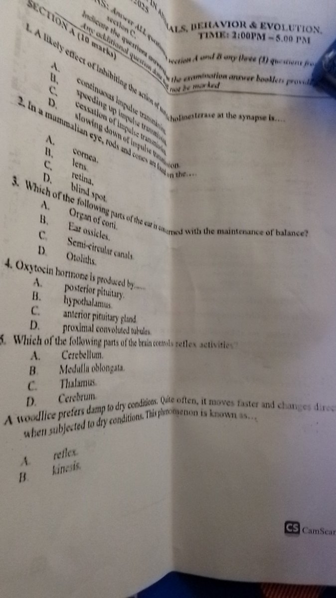 SECTION A (10 marks) A likely effect of inhibiting the action of choline..