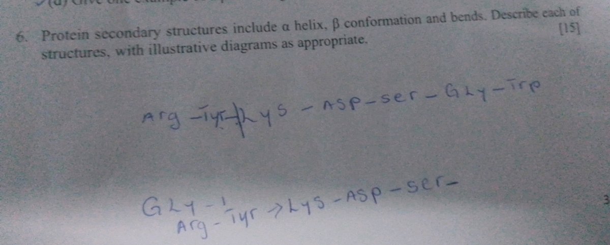 Protein secondary structures include α helix, β conformation and bends. D..