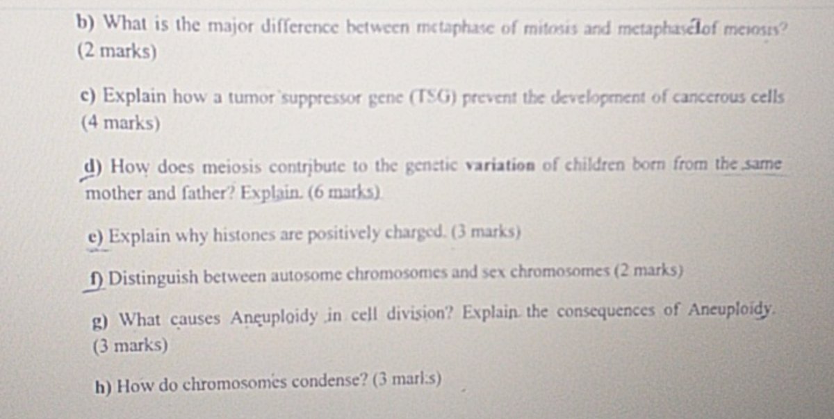 b) What is the major difference between metaphase of mitosis and metaphas..