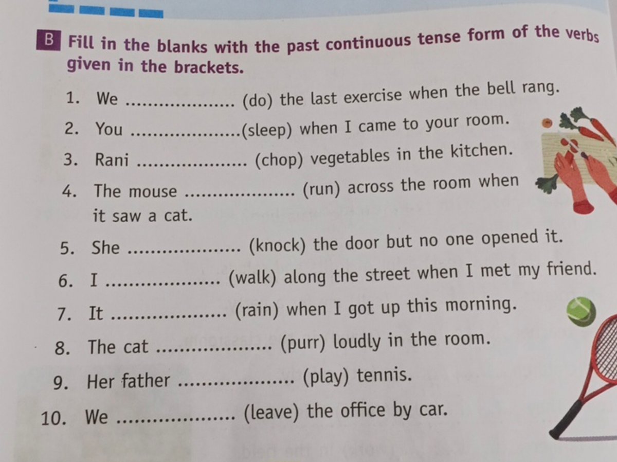 Fill in the blanks with the past continuous tense form of the verbs given..