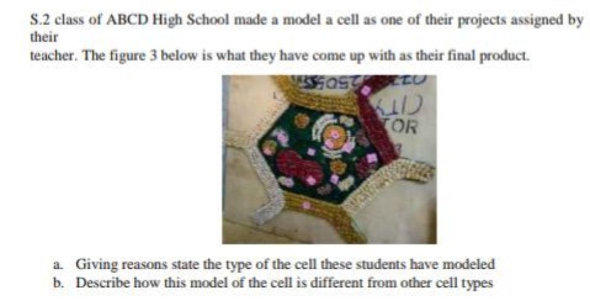 S.2 class of ABCD High School made a model a cell as one of their project..