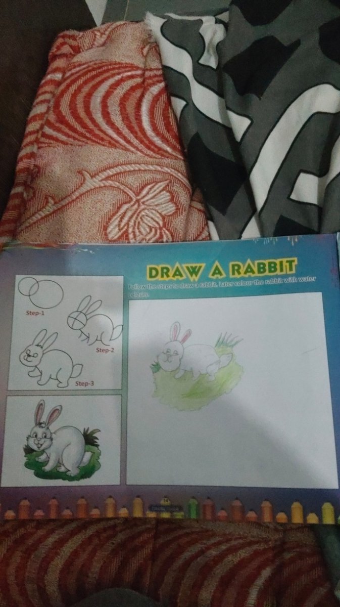 Draw a rabbit. Follow the steps to draw a rabbit, later colour the rabbit..