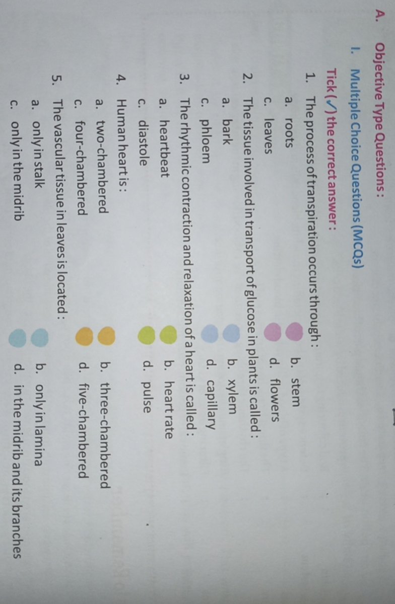 A. Objective Type Questions: I. Multiple Choice Questions (MCQs) Tick