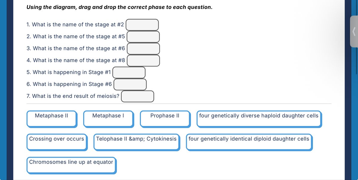 Using the diagram, drag and drop the correct phase to each question. Wha..