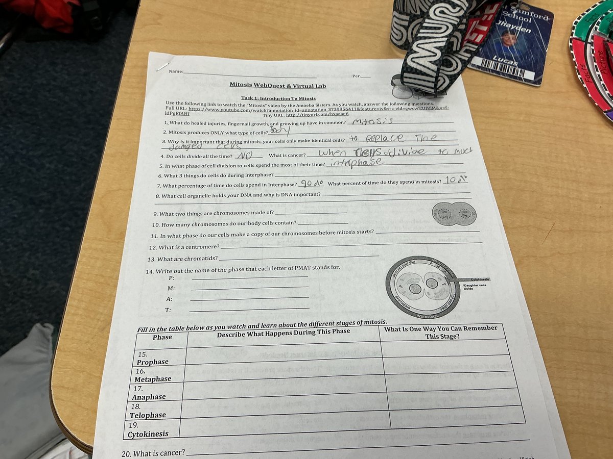 Mitosis WebQuest & Virtual Lab Task 1: Introduction To Mitosis Use the